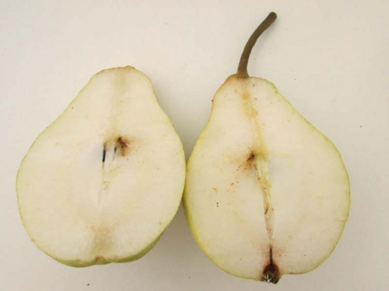 PERA - BIODIVERSIDAD ALIMENTARIA